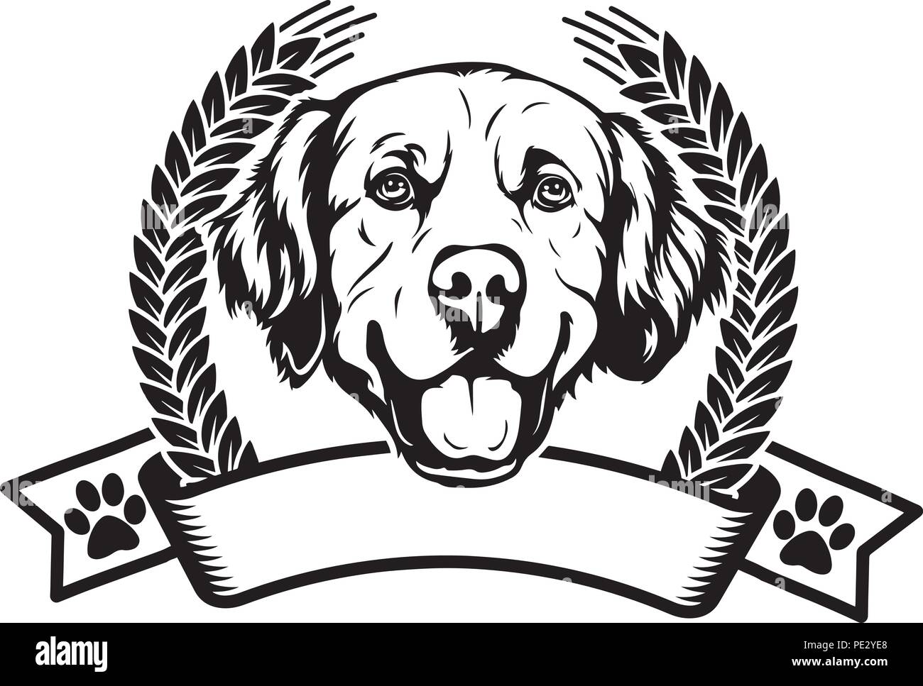 Cara De Cachorro Golden Retriever