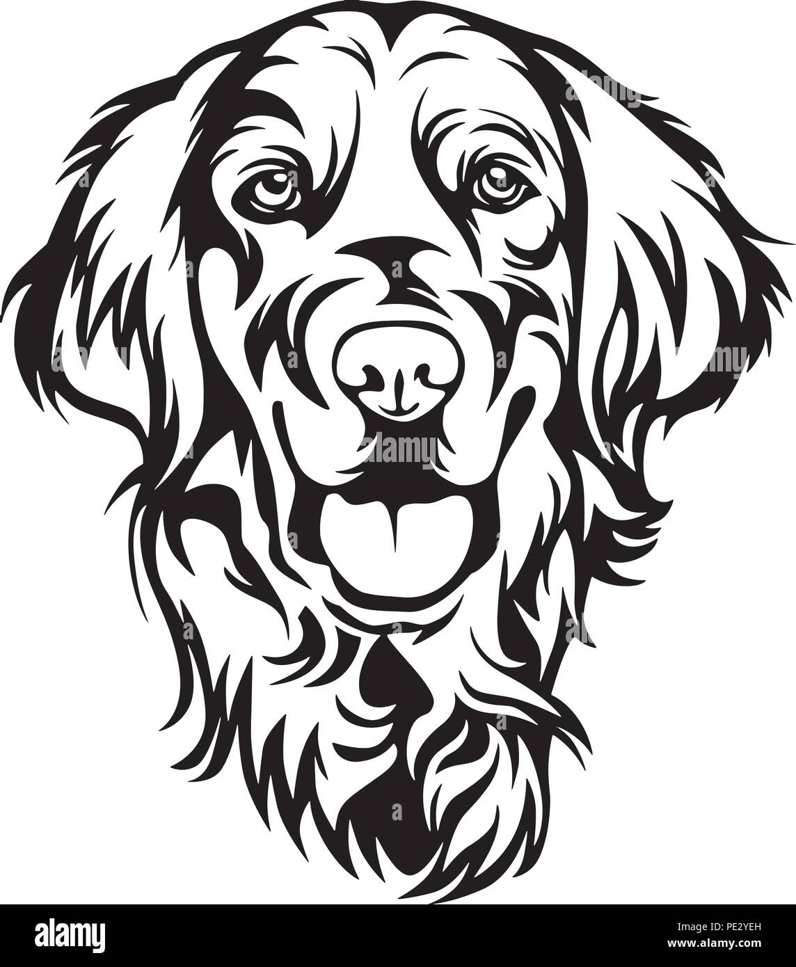 Cara De Cachorro Golden Retriever