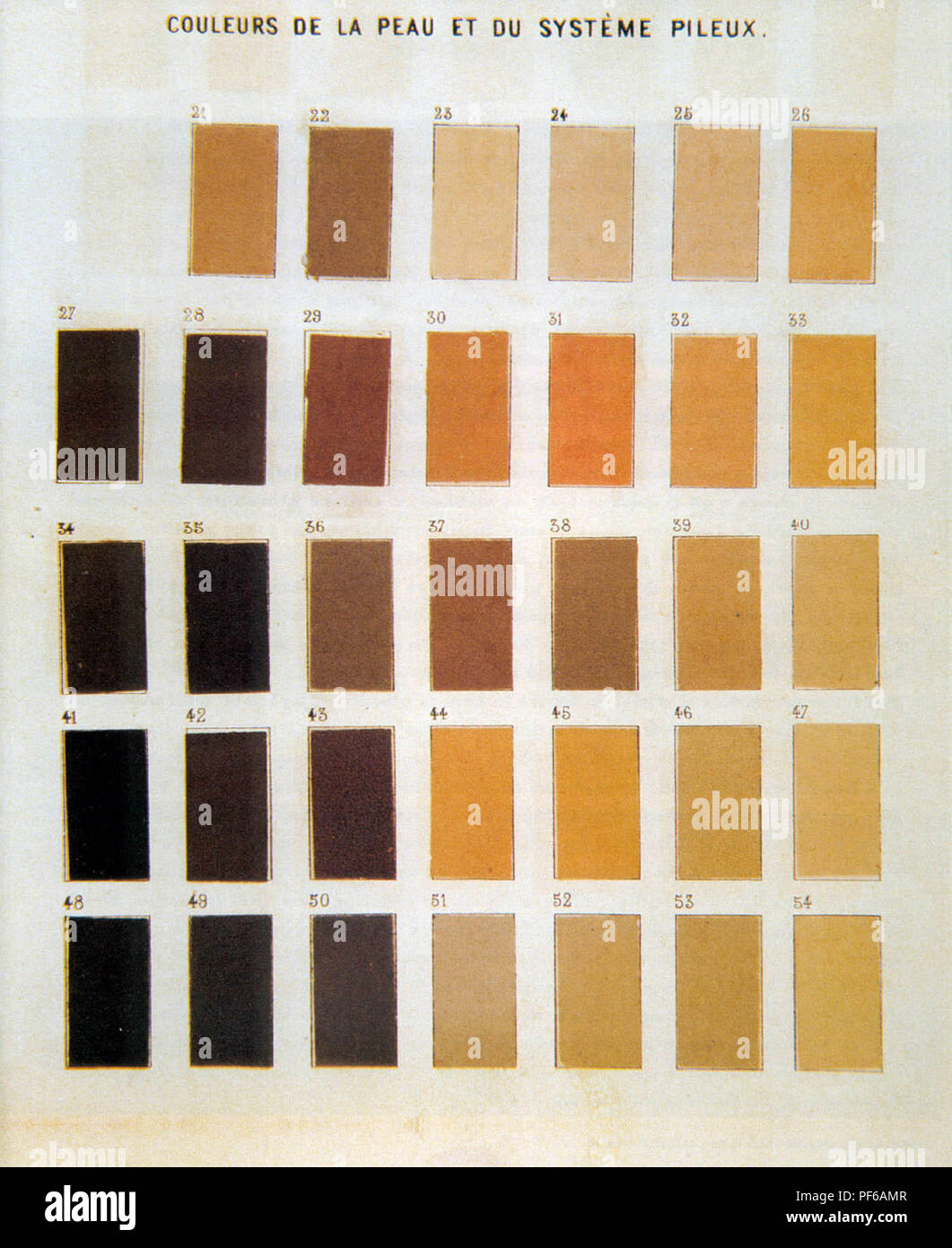 Tabla De Tipos De Piel