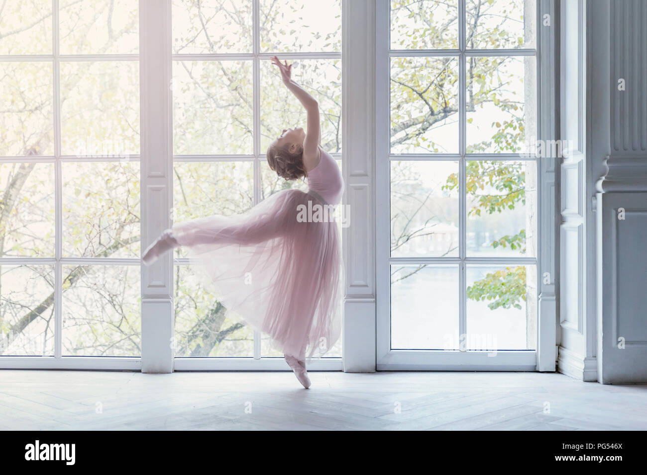 Ballet Sexta Posicion