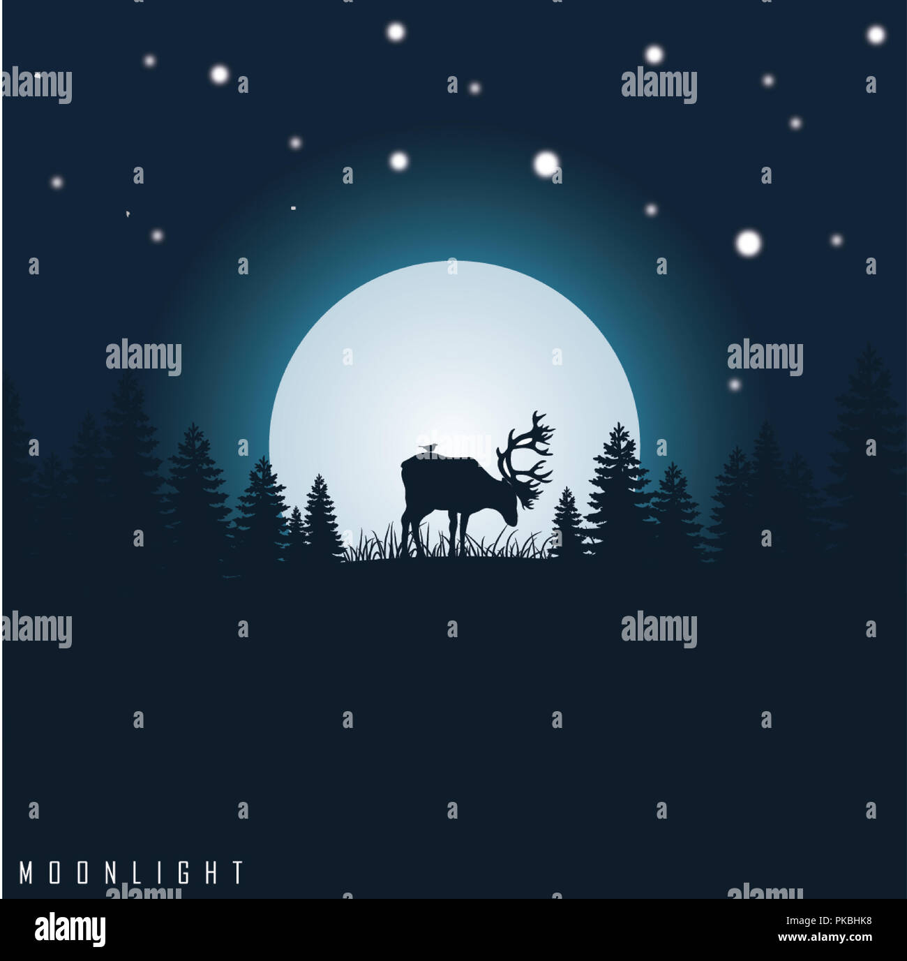 Ilustrador Vectorial De Paisaje Fotografías E Imágenes De Alta