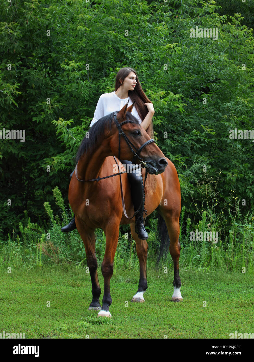 Sensualidad Elegancia Fotos E Imágenes De Stock Alamy