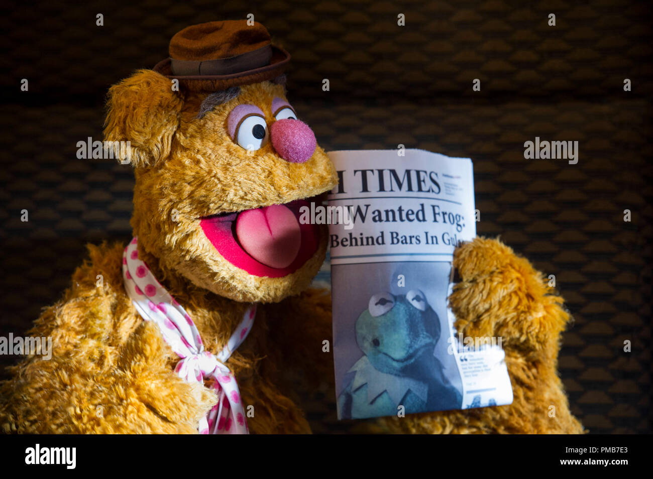 Oso fozzie fotografías e imágenes de alta resolución - Alamy