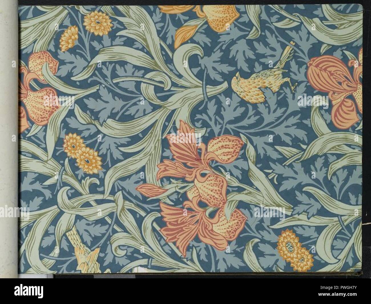 Borde De Papel Tapiz De William Morris