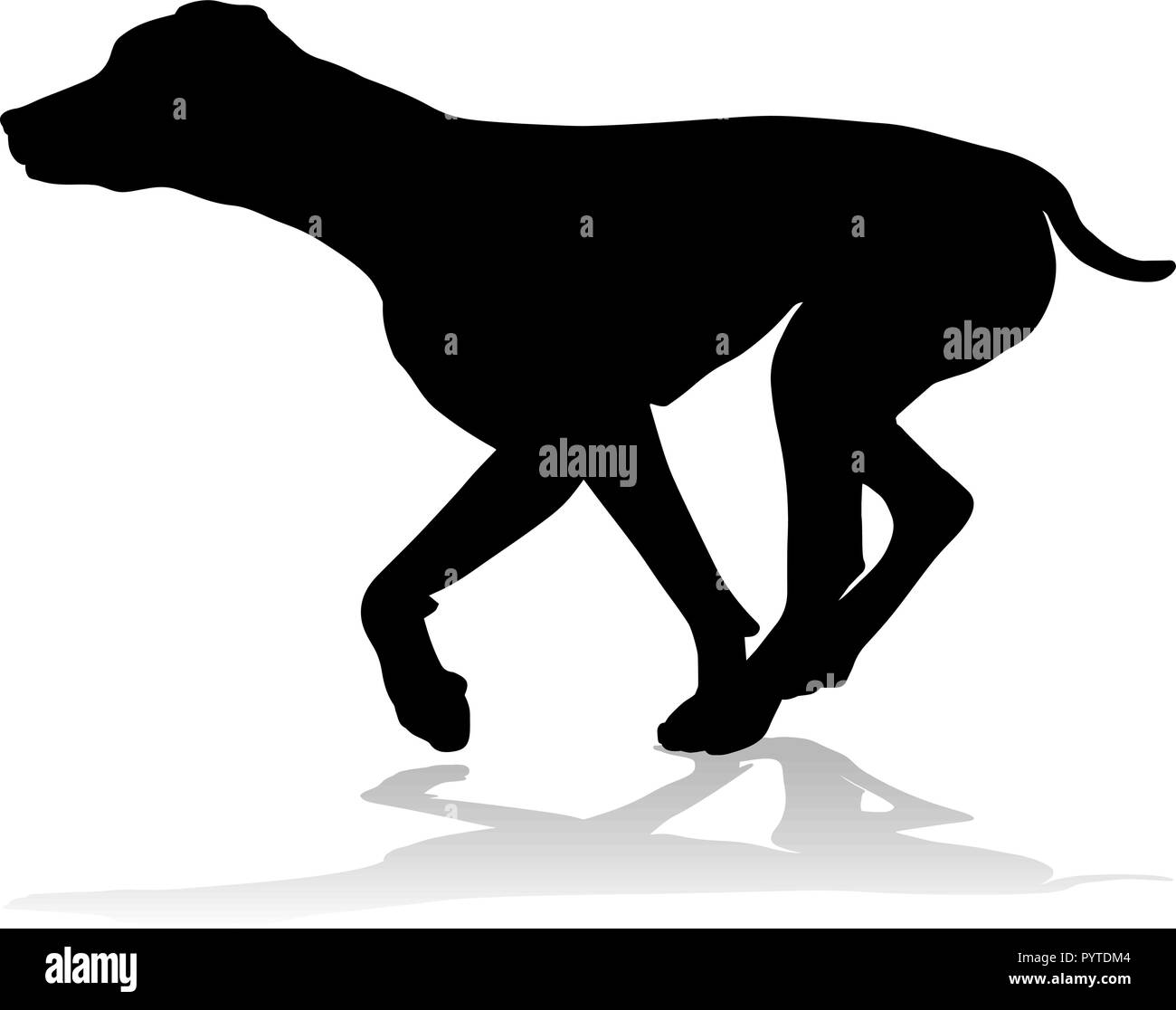 Siluetas De Perro Sabueso Fotografías E Imágenes De Alta Resolución Alamy