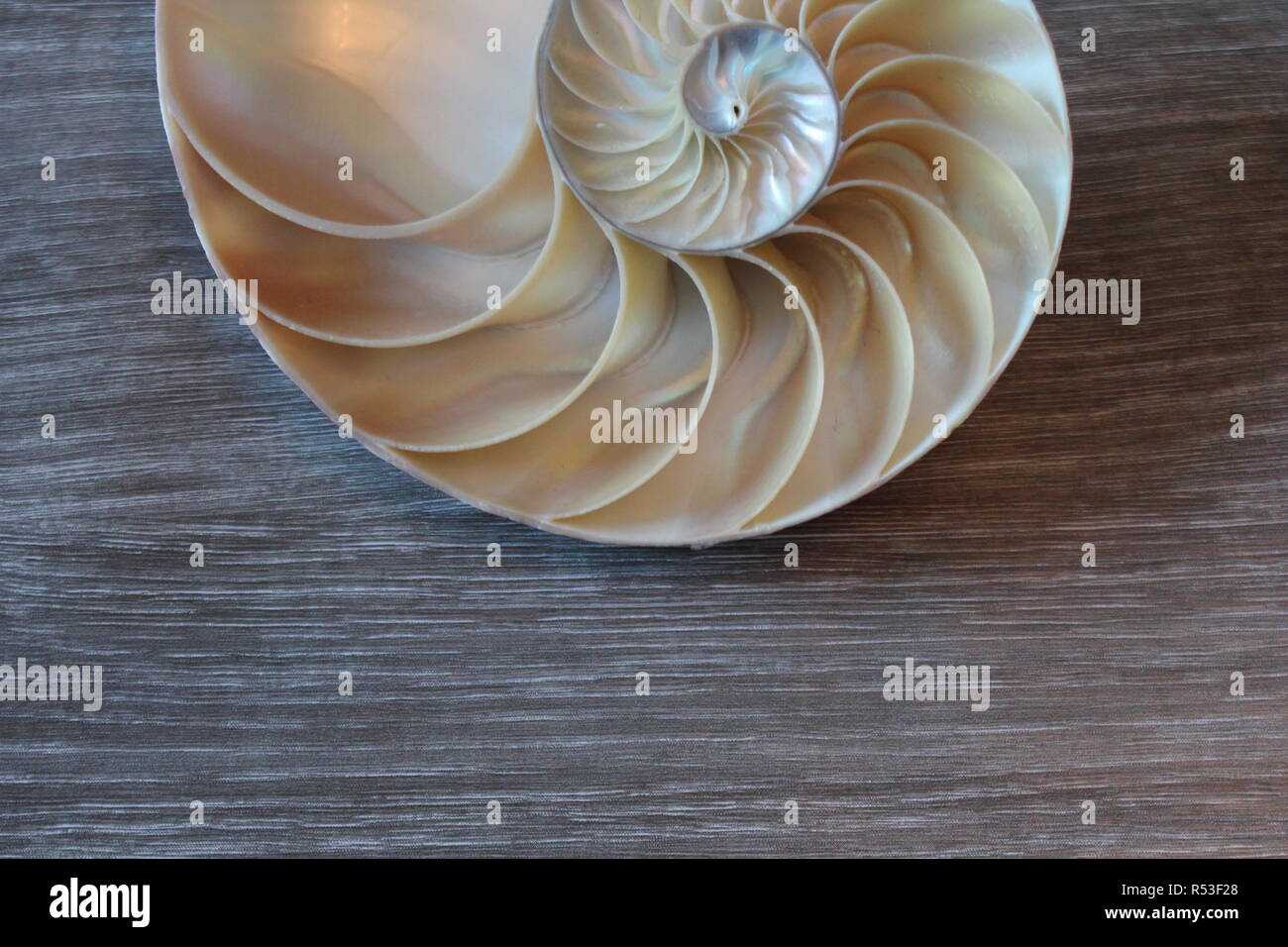 Fondo de secuencia de fibonacci fotografías e imágenes de alta ...