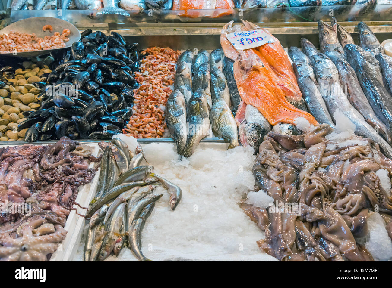 Guía completa del marisco: tipos y consejos