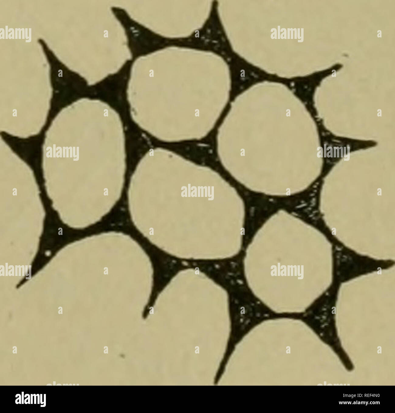 Espesor Del Tejido Desigual Factory Sale | emergencydentistry.com