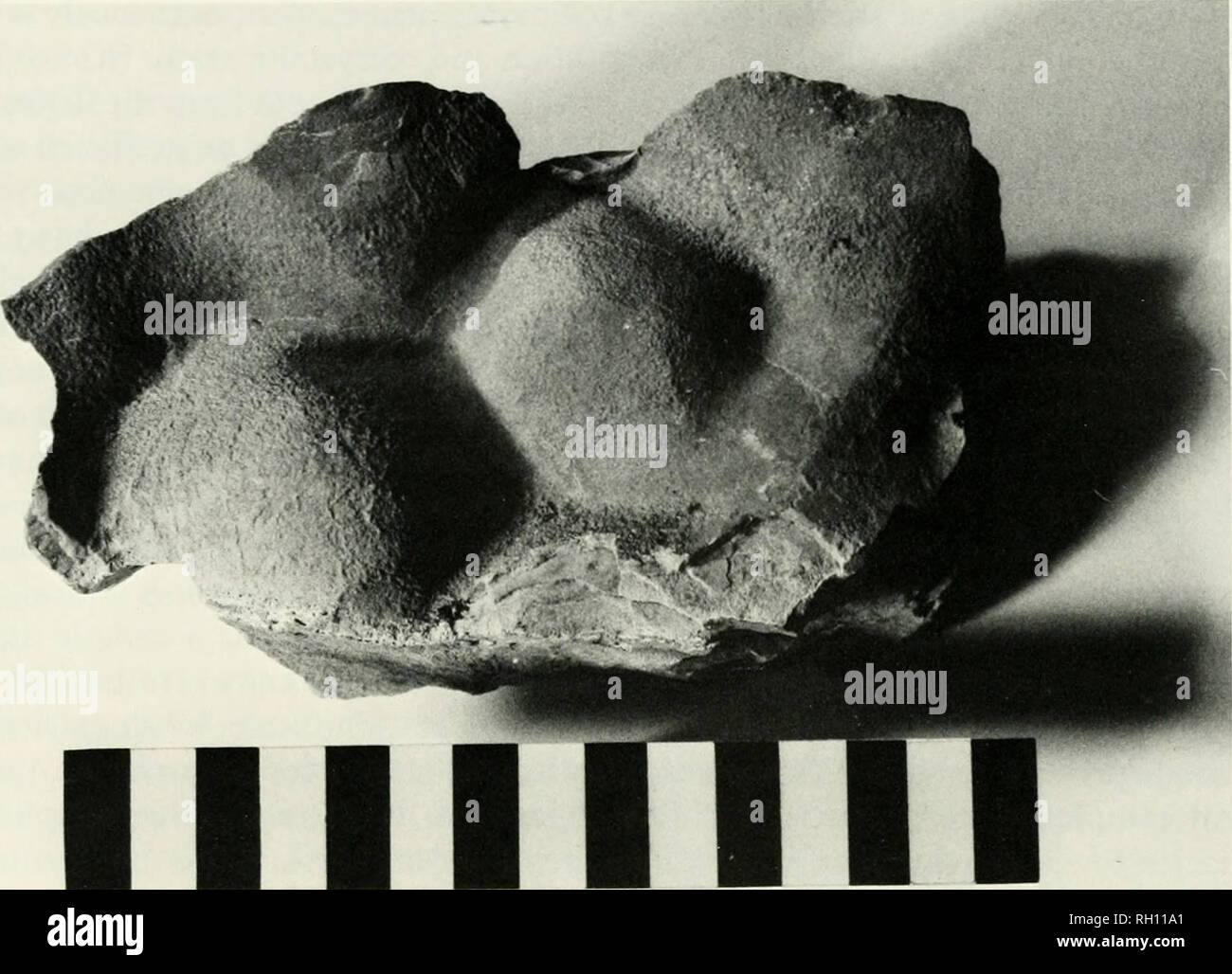 Isótopos de oxígeno fotografías e imágenes de alta resolución - Alamy