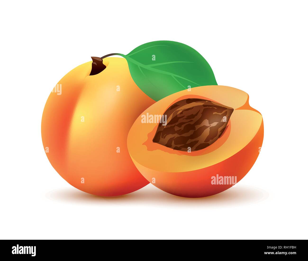 La Mitad Y Toda La Fruta De Durazno Icono Ilustración Vectorial