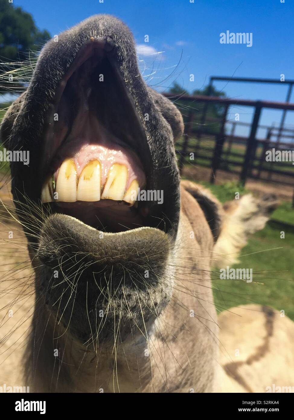 La isla de las tentaciones - Por favor utilizad los SPOILERS | Page ...