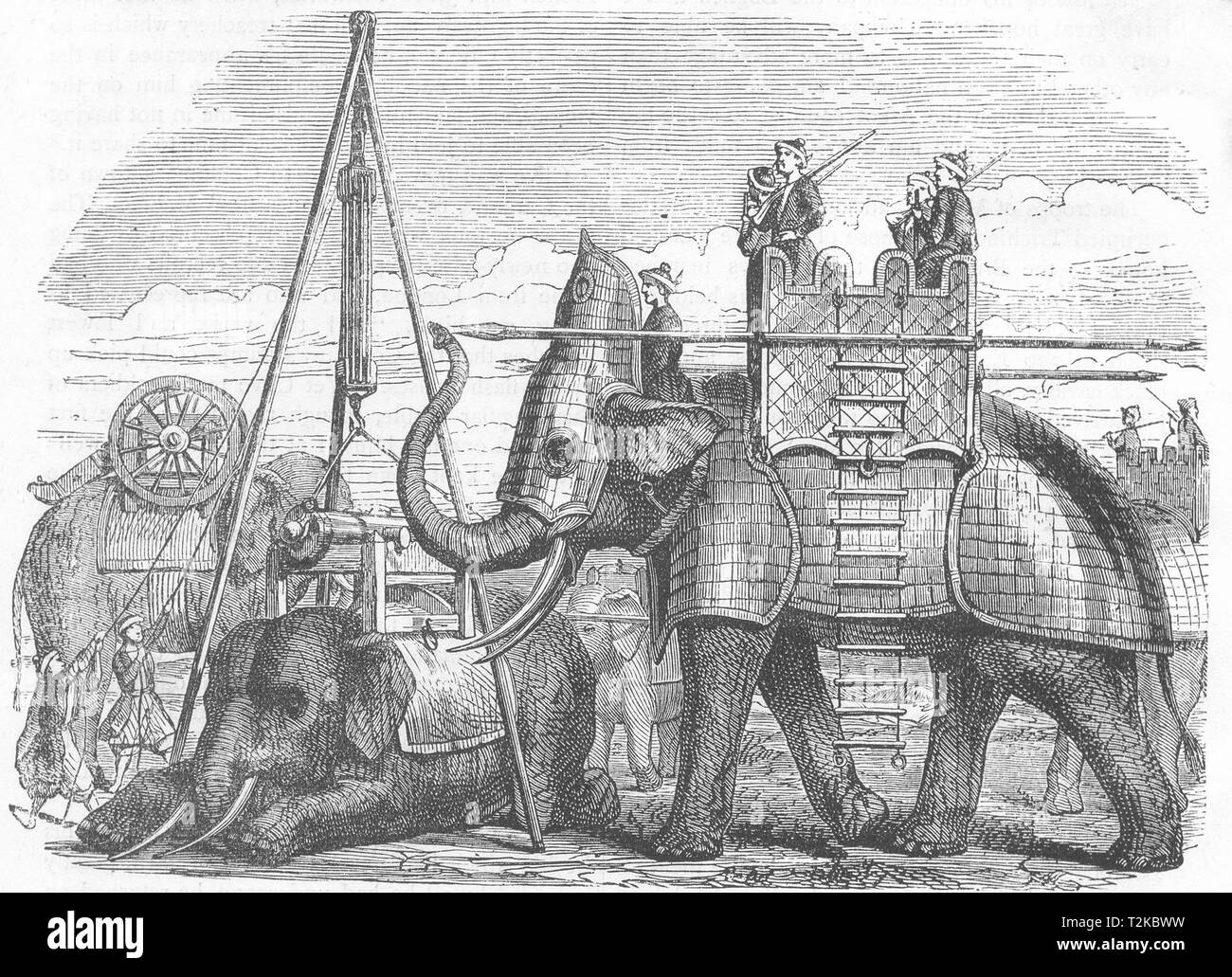 Armadura De Elefante De Guerra Indio Del Siglo Xix