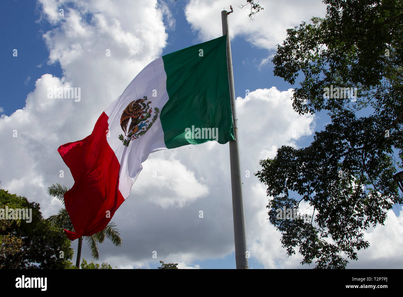 Bandera de méxico ondeando fotografías e imágenes de alta resolución ...