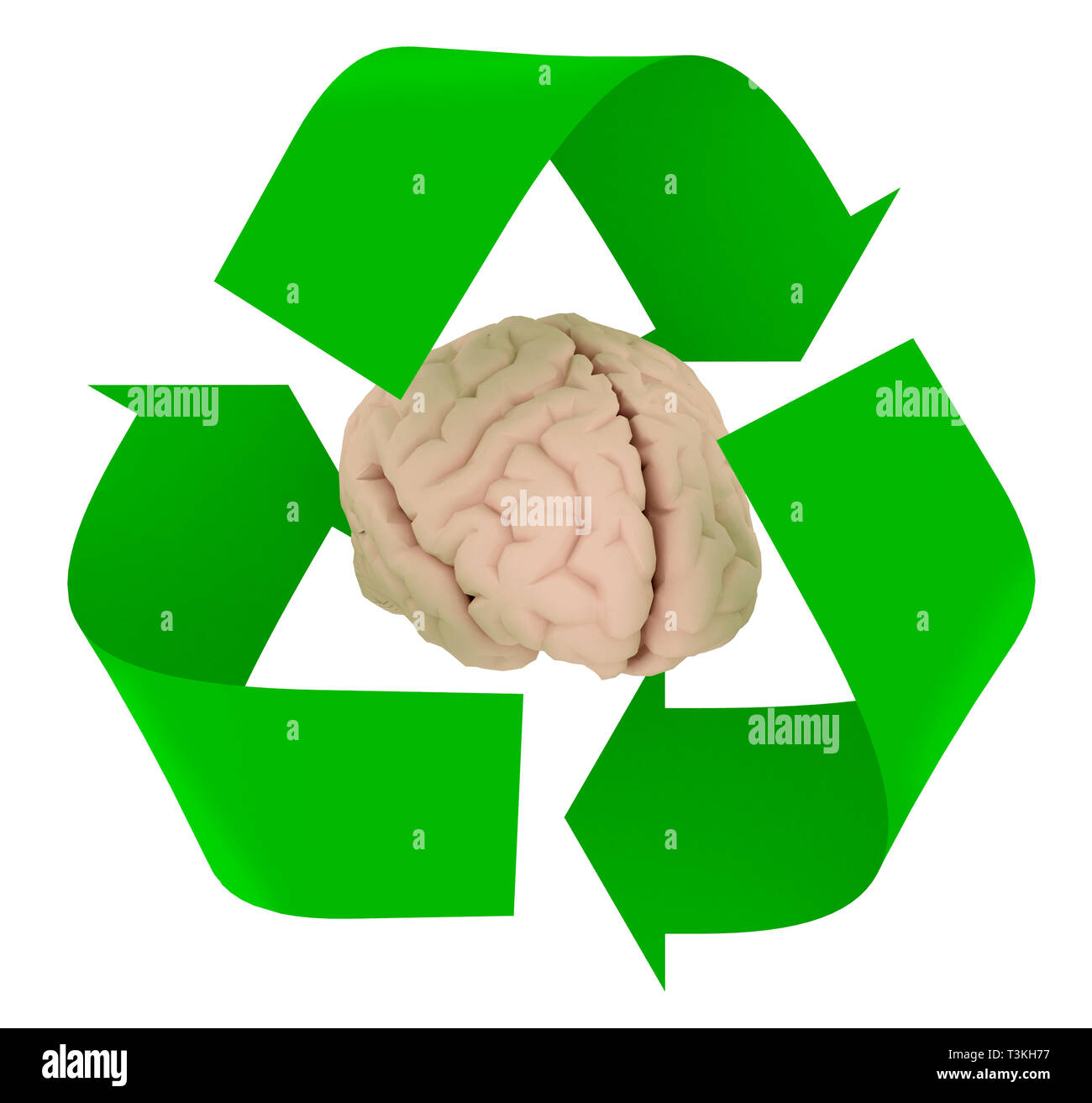 Verde Símbolo De Reciclado Con El Cerebro Humano En Su Interior