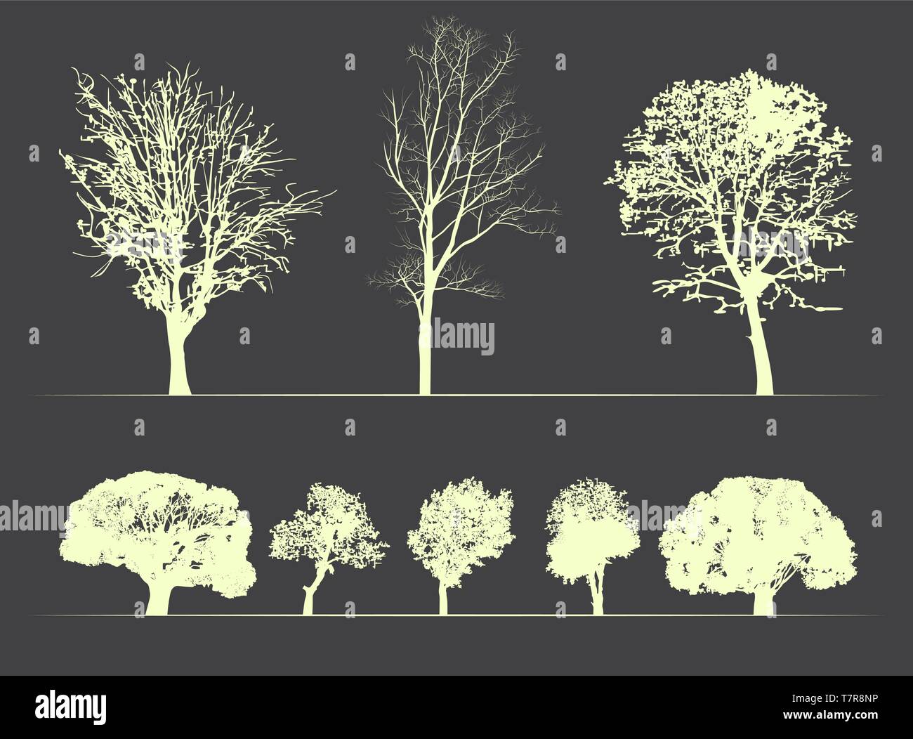 Ramas de los arboles sin hojas Imágenes vectoriales de stock - Alamy