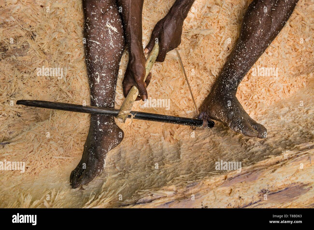 Papua Nueva Guinea, la provincia de Southern Highlands, zona Bosavi ...