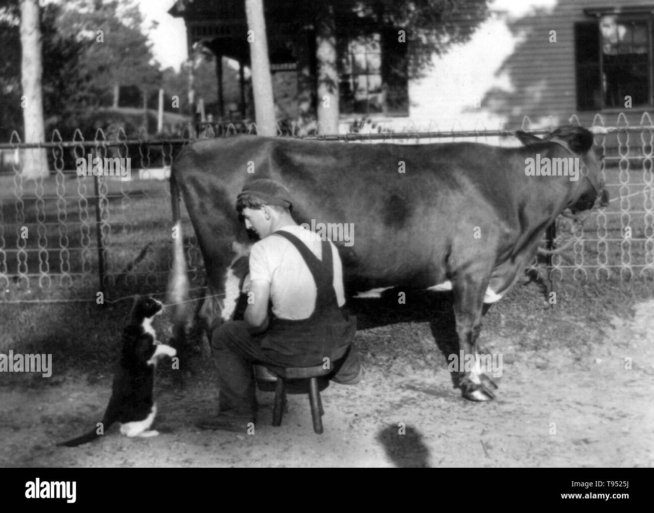 Quitar La Leche De Fotografías E Imágenes De Alta Resolución Alamy