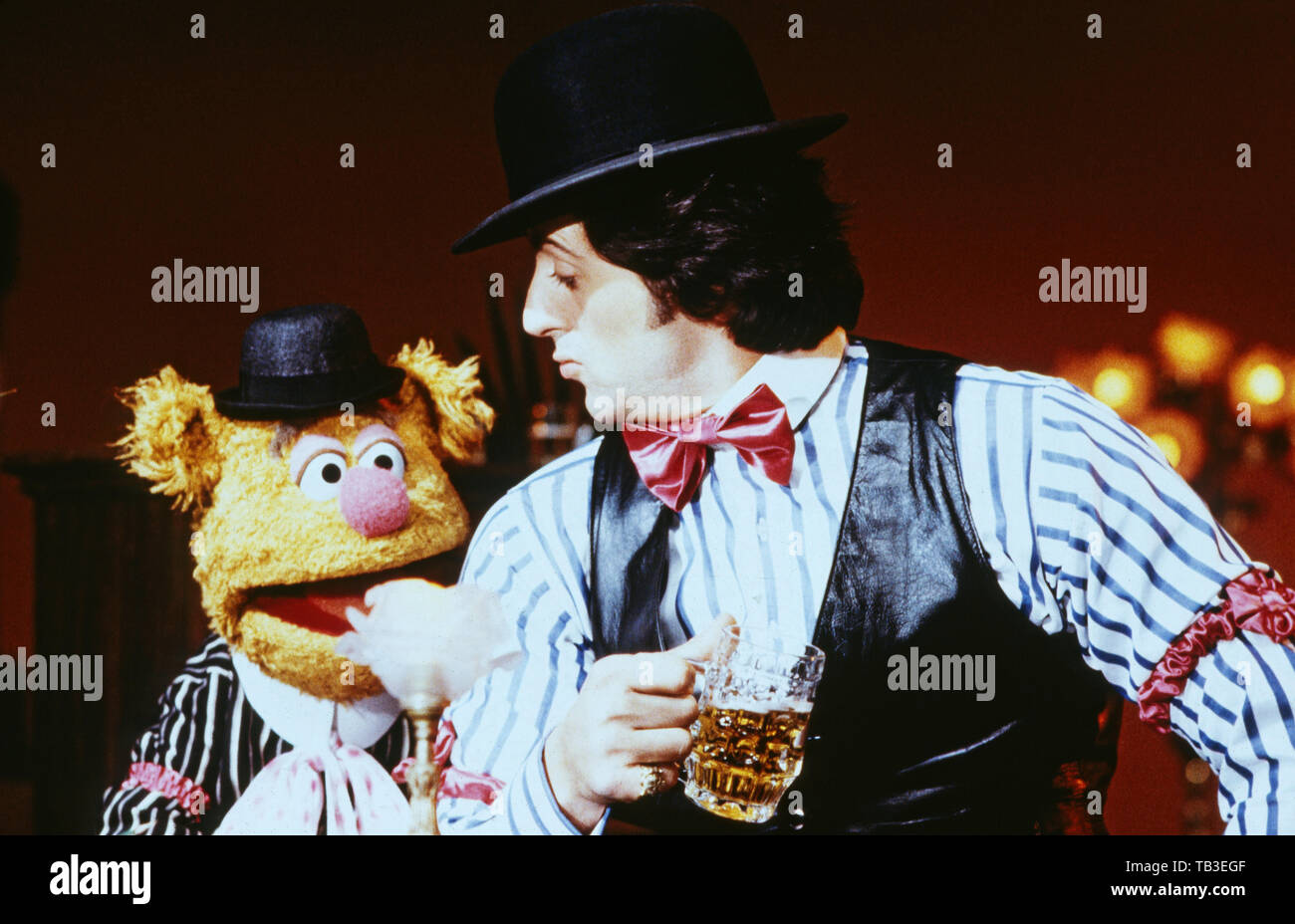 Oso fozzie fotografías e imágenes de alta resolución - Alamy