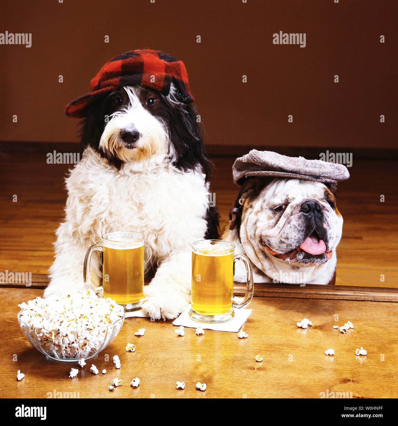 La Cerveza Puede Matar Perros