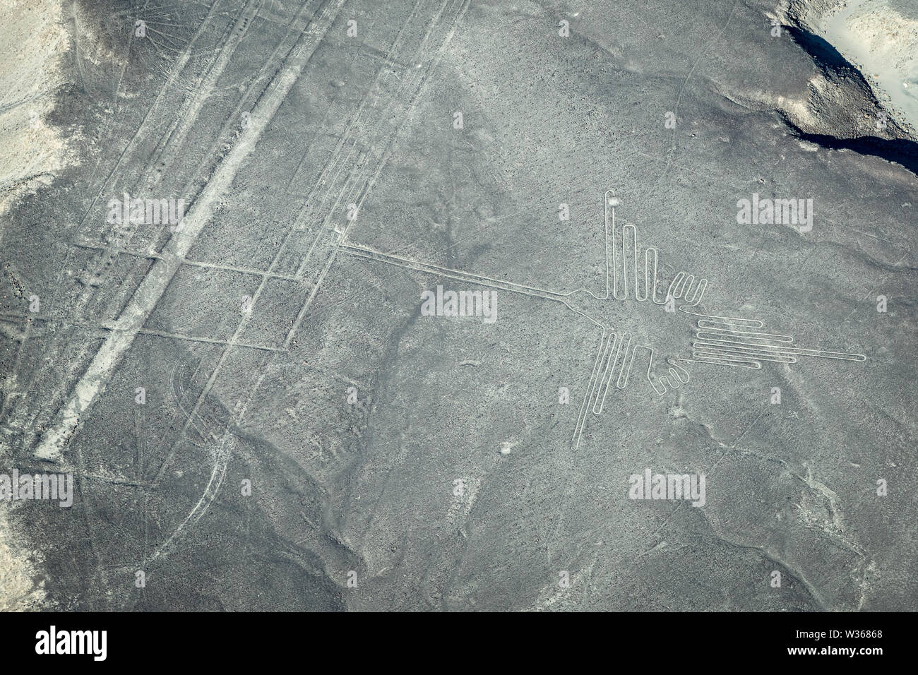Las Líneas De Nazca En Perú Fotografía De Stock Alamy