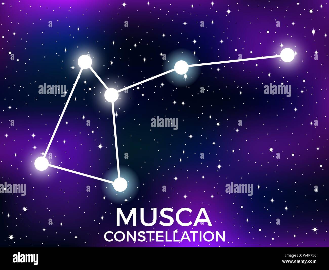 La Musca Constelación Noche Estrellada Cluster De Estrellas Y