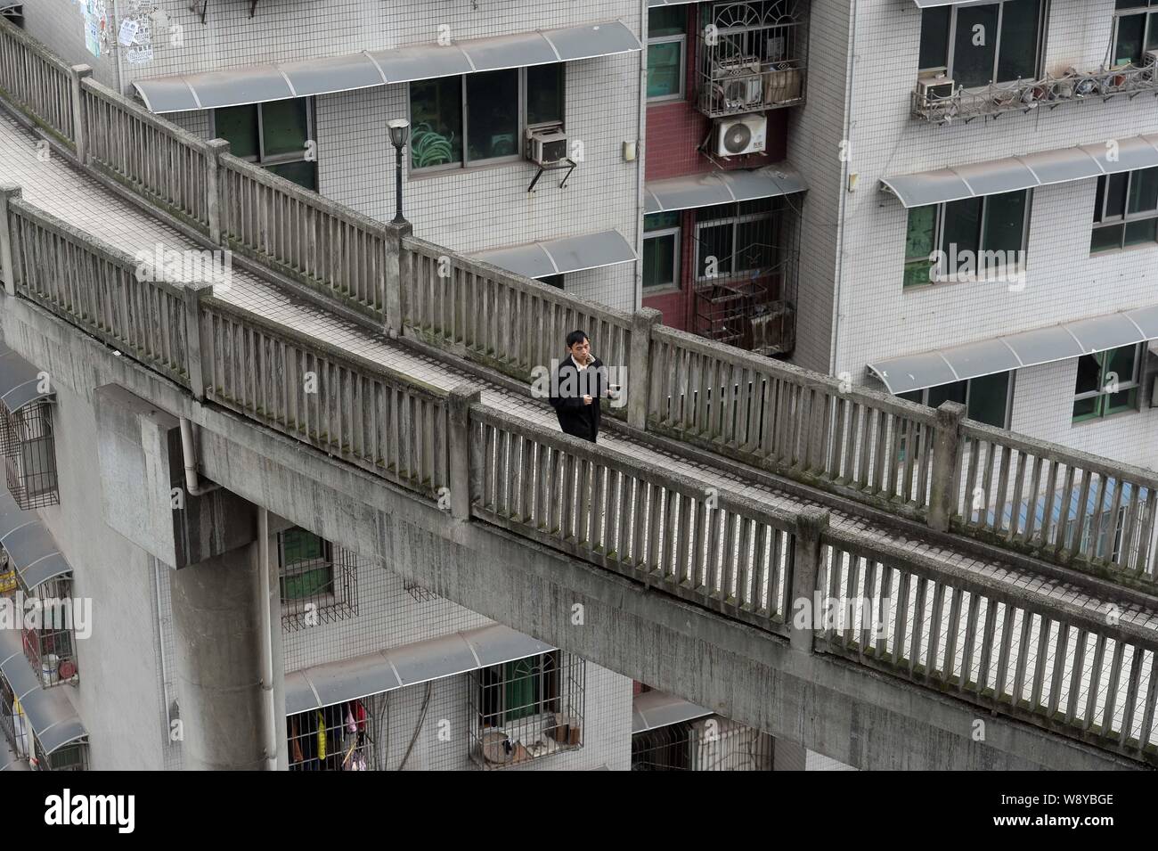 Para Que Sirven Los Perros De Chongqing