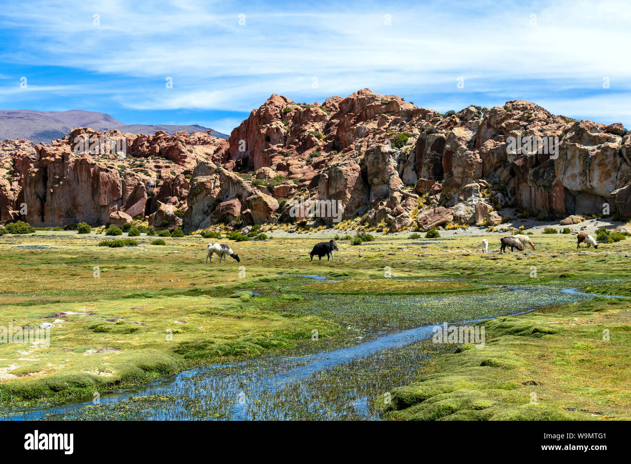 Laguna Negra Roca Lado Oscuro