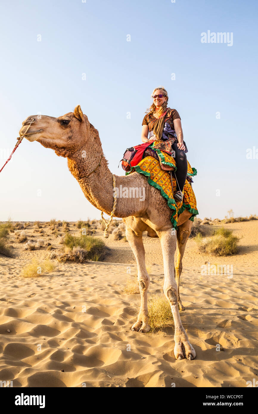 Gente Montando Camellos En El Desierto