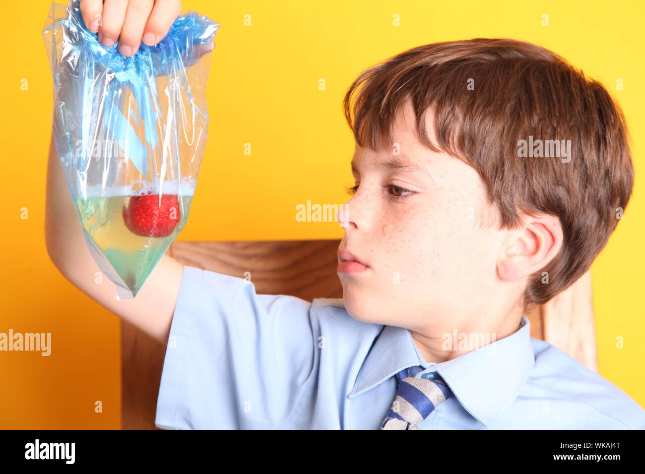 Extracción De Adn De Fresas