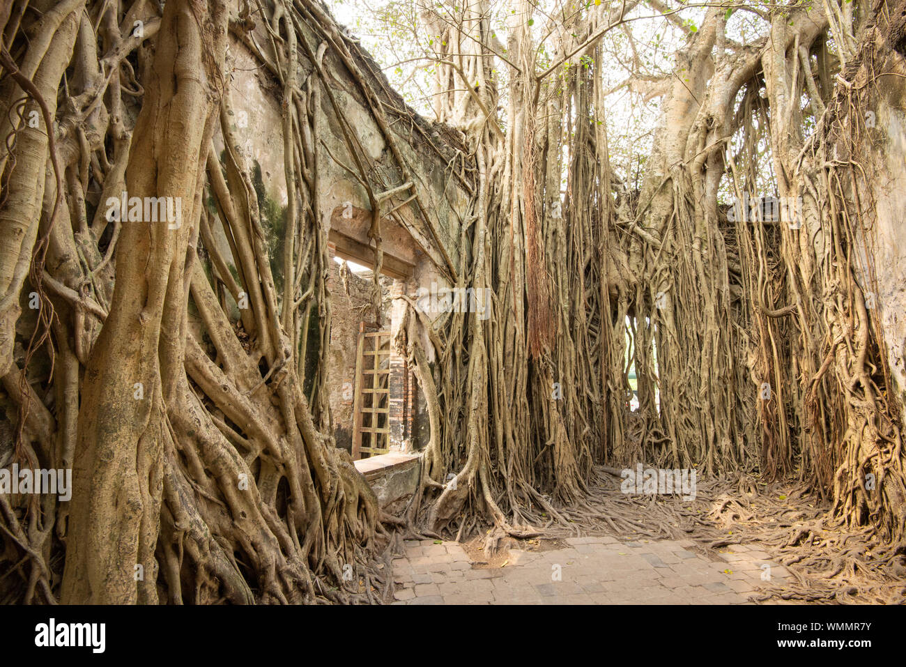 Casa De Hernán Cortés En La Antigua Veracruz México Fotografía De
