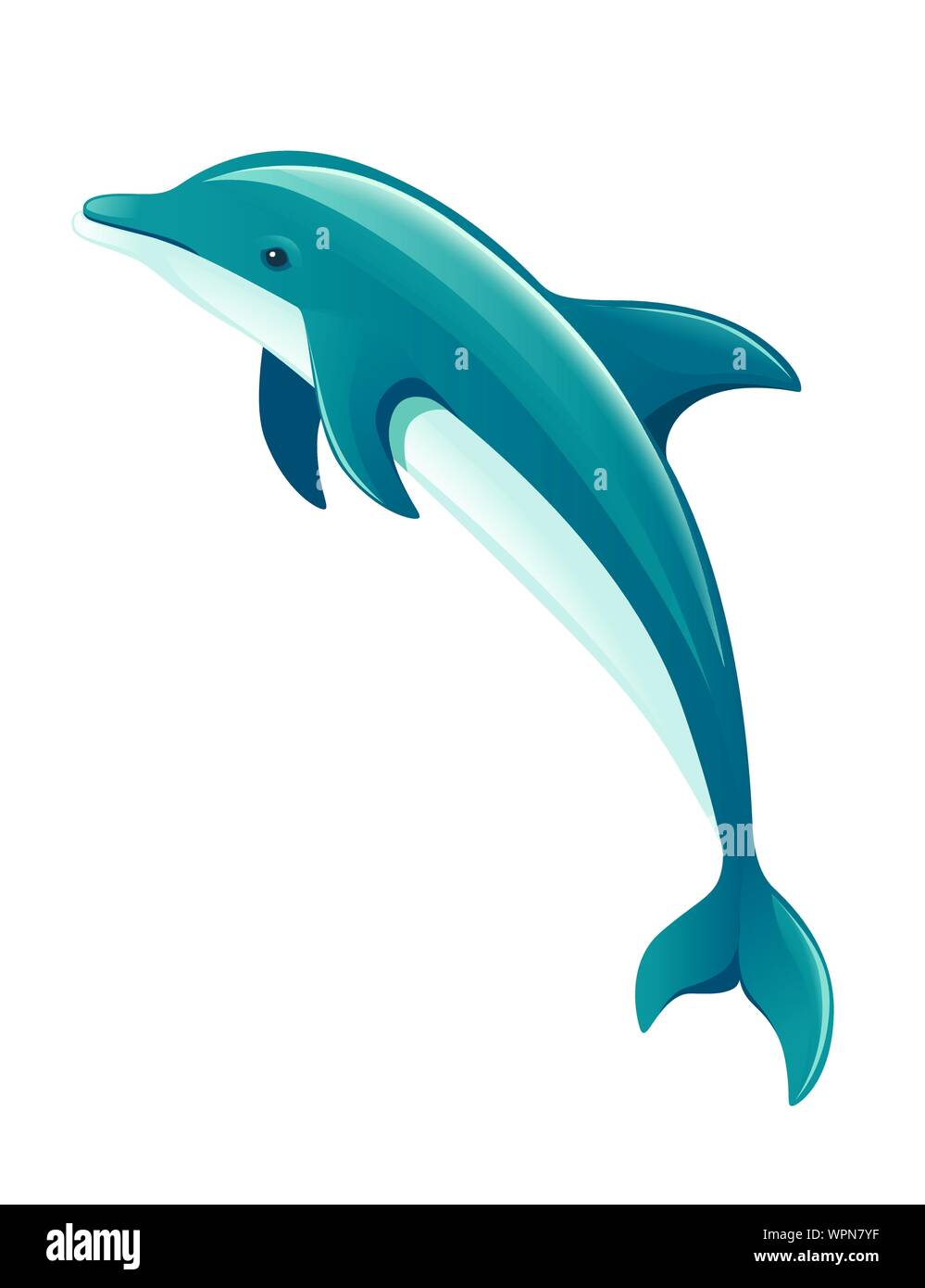 Delfin Azul