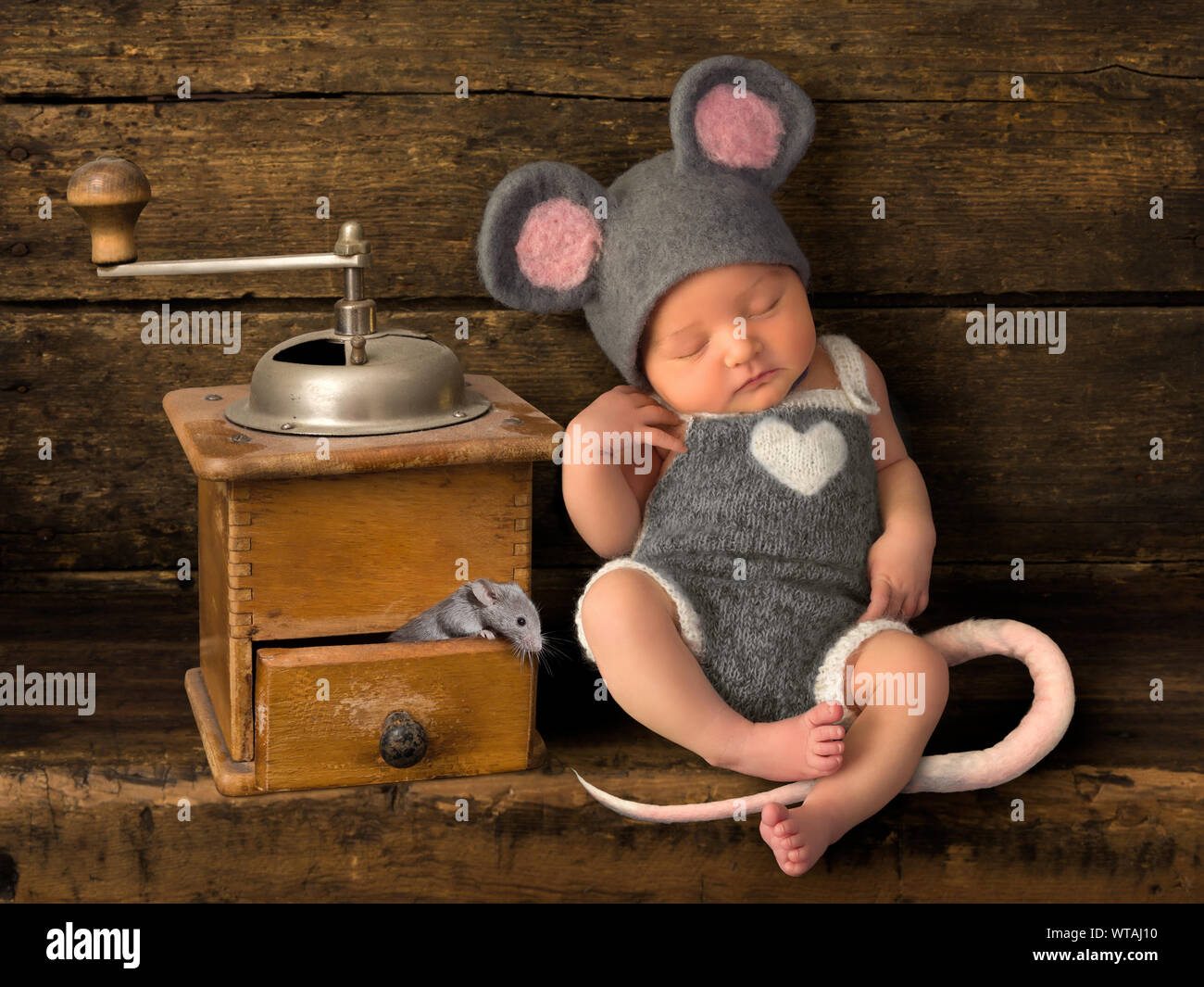 Raton recien nacido fotografías e imágenes de alta resolución - Alamy