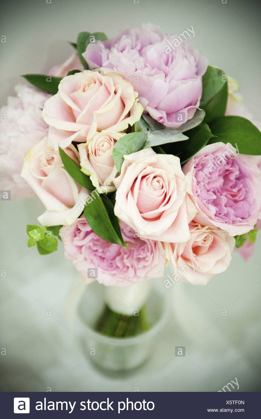 Rosas Color Pastel Fotos e Imágenes de stock - Alamy