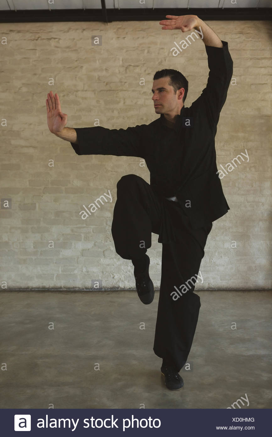 Kung fu fighter - mgmtnet