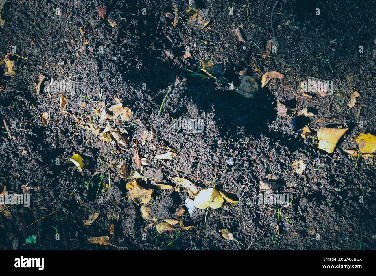 Ground texture Banque de photographies et d’images à haute résolution ...