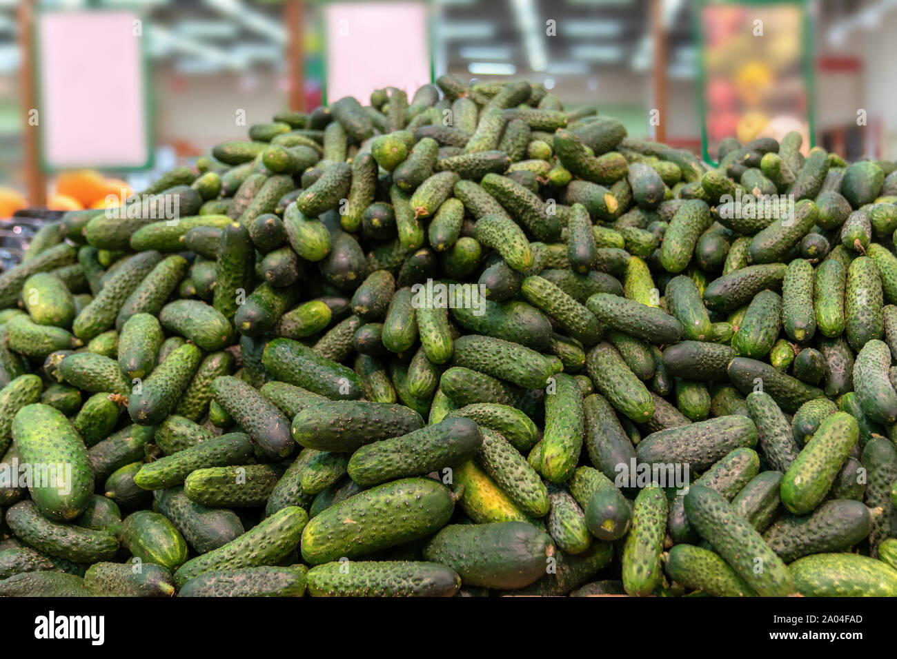 Une abondance de concombre vert, fond vert. pris au magasin, frais, la ...