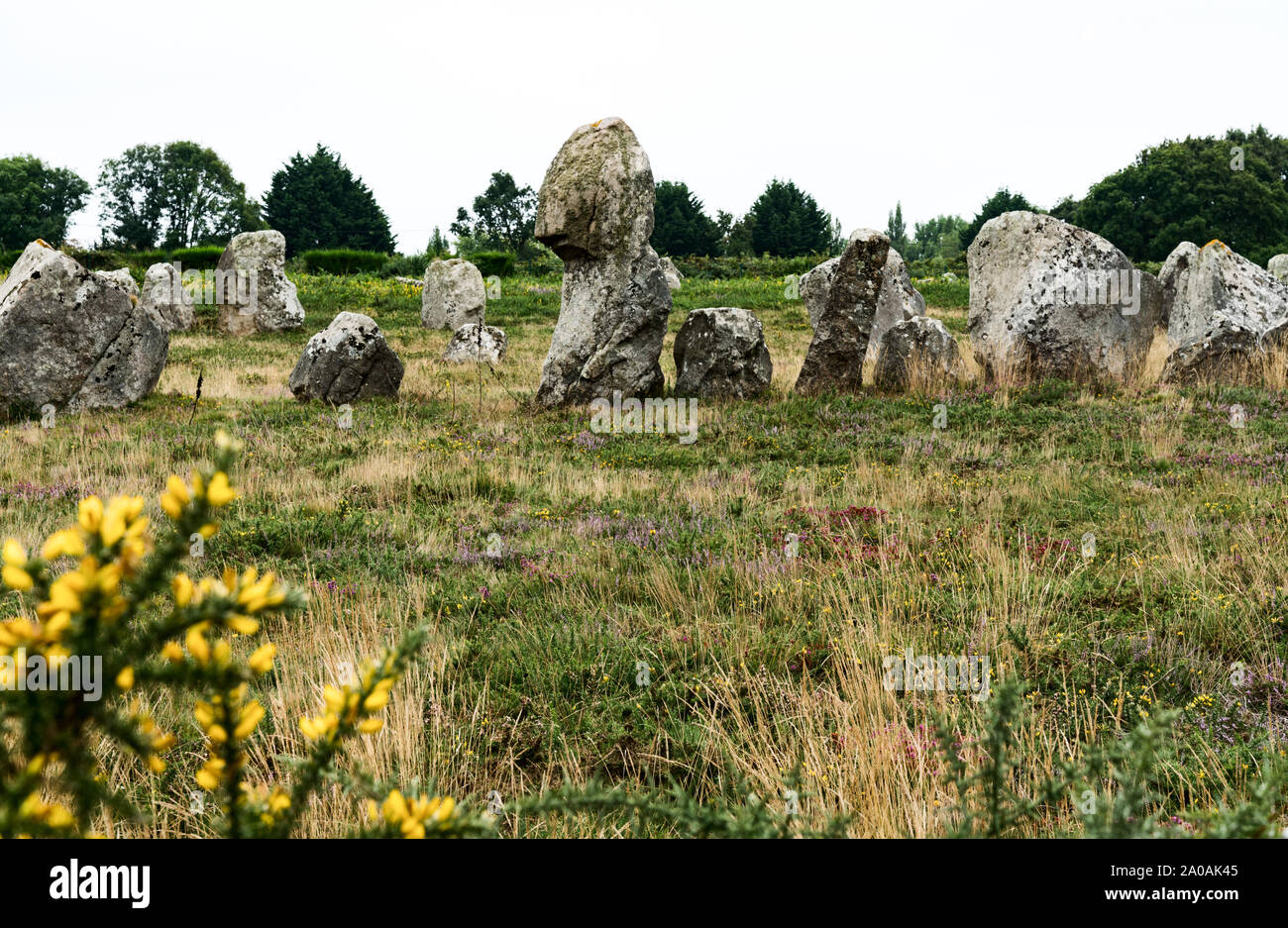 Vue d'alignements de pierre monolithe préhistorique en Bretagne à ...
