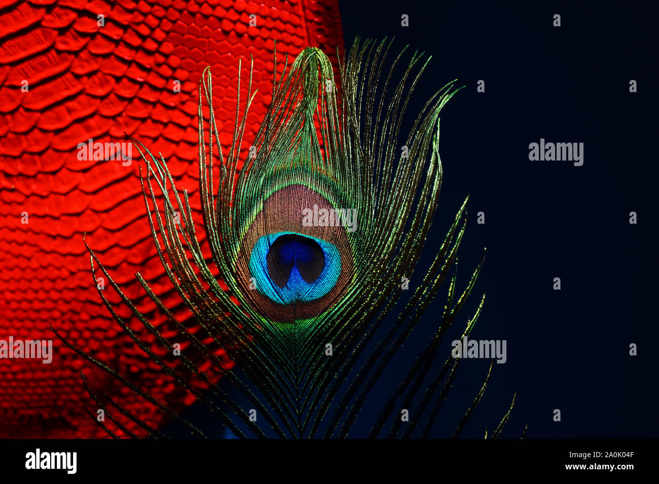 Carnaval de rio plume Banque de photographies et d’images à haute ...