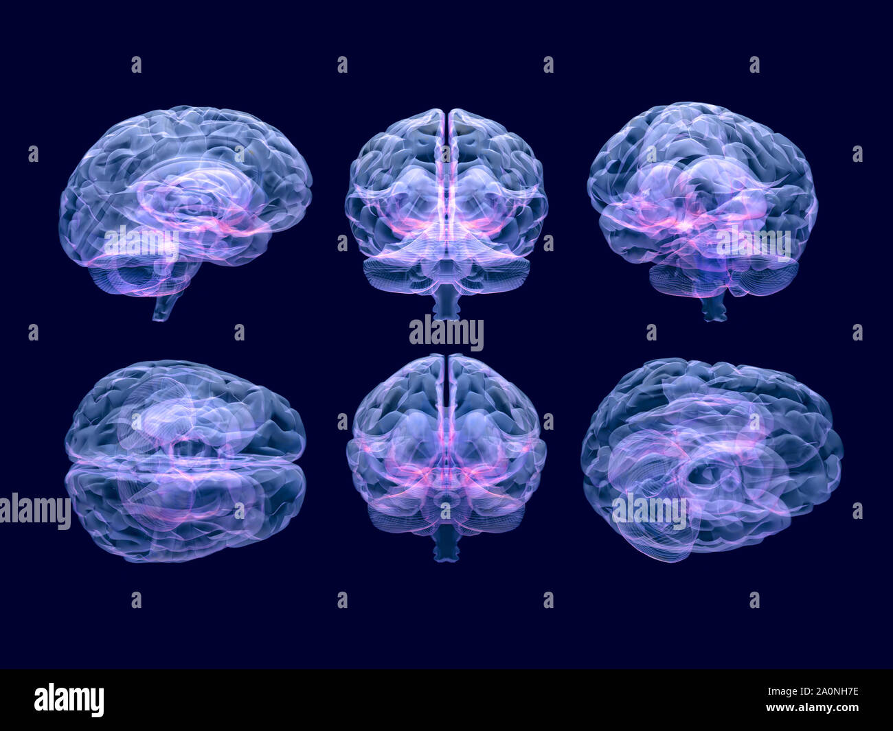 L'anatomie du cerveau humain. Ensemble de vues multiples Photo Stock ...