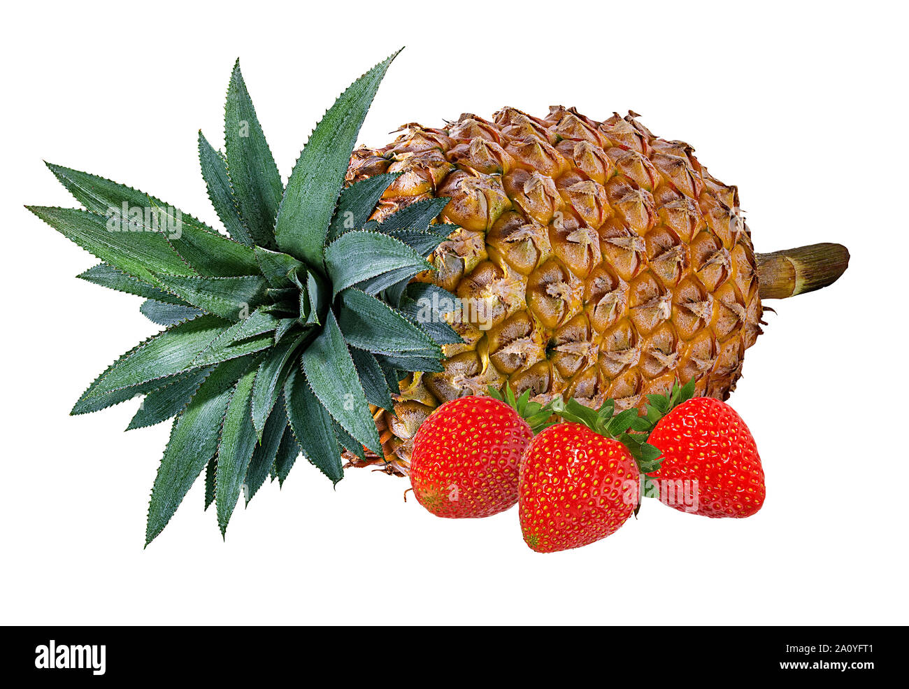 Fraise ananas Banque de photographies et d’images à haute résolution ...
