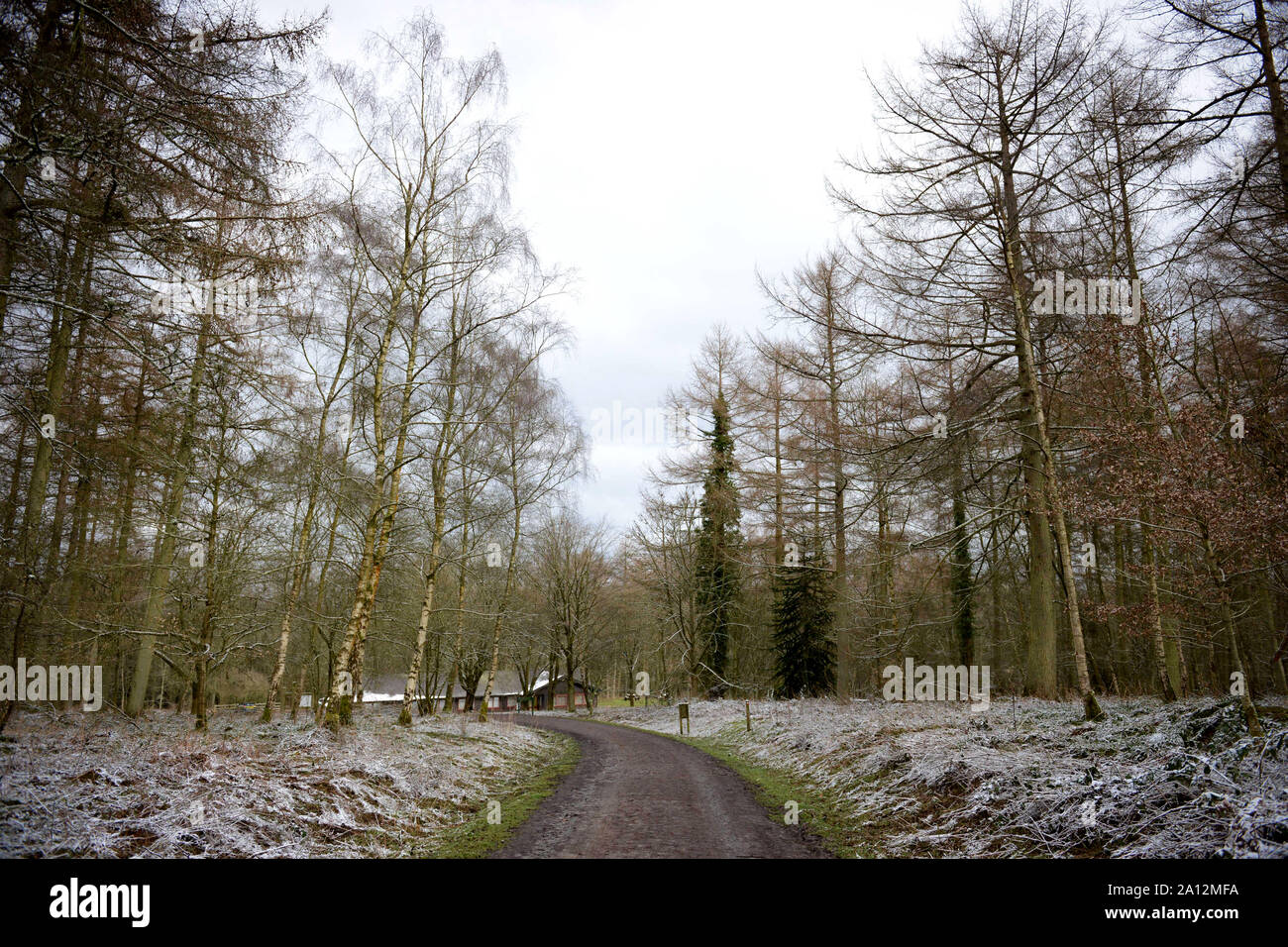 Mortimer forest Banque de photographies et d’images à haute résolution ...