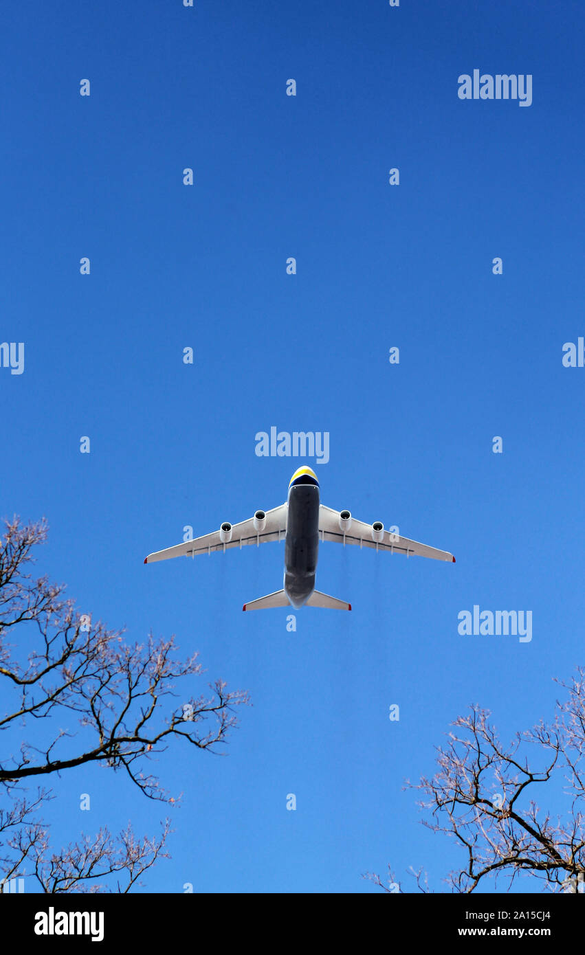 Avion dans le ciel et des branches Banque de photographies et d’images ...