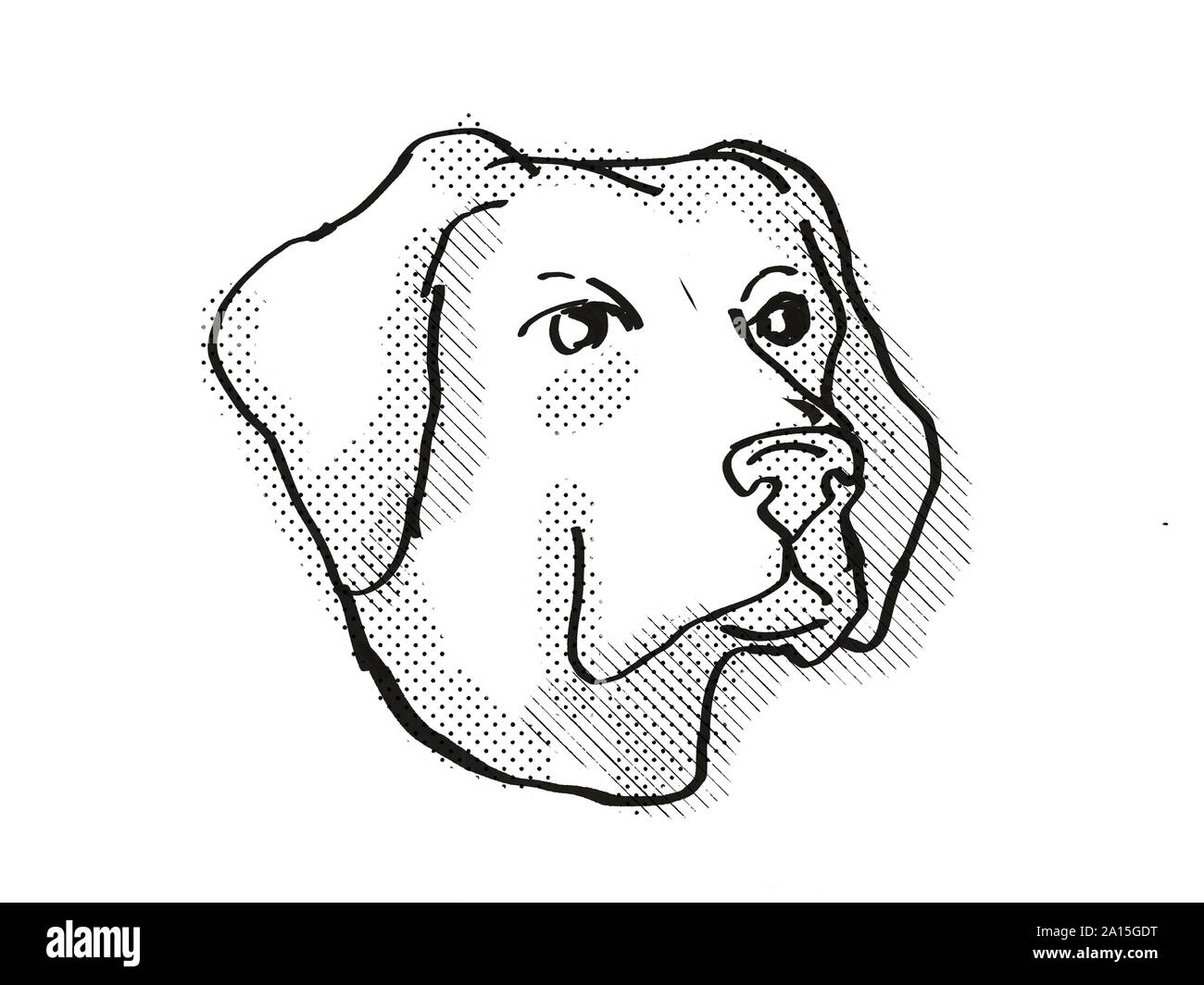 Retro cartoon style dessin de tête d'un Labrador Retriever , un chien ...