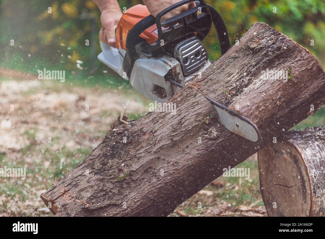 Homme tronc de scie Banque de photographies et d’images à haute ...