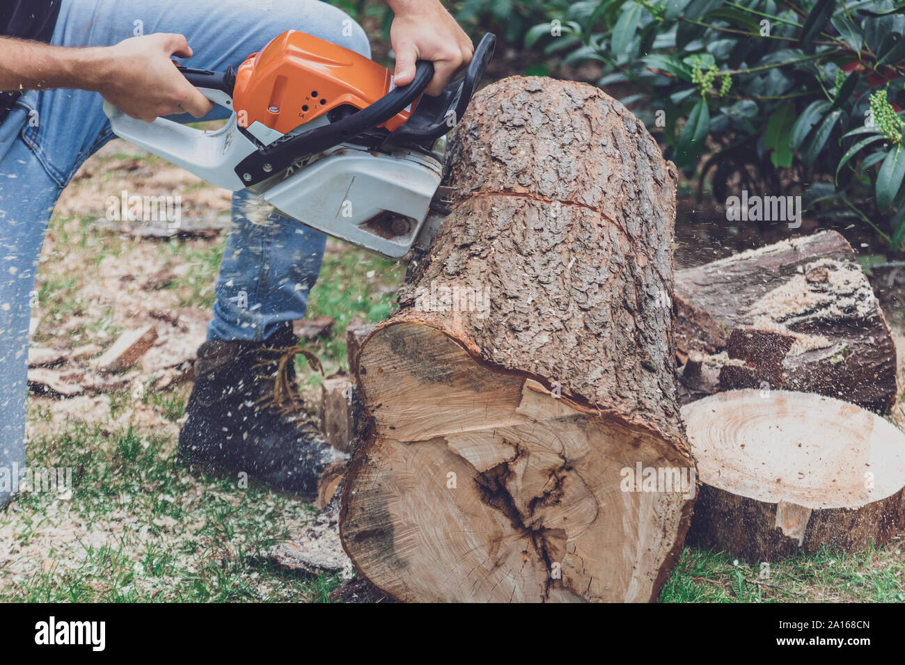 Homme tronc de scie Banque de photographies et d’images à haute ...