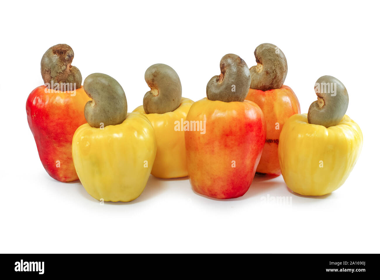 Fruits de noix de cajou Banque de photographies et d’images à haute ...