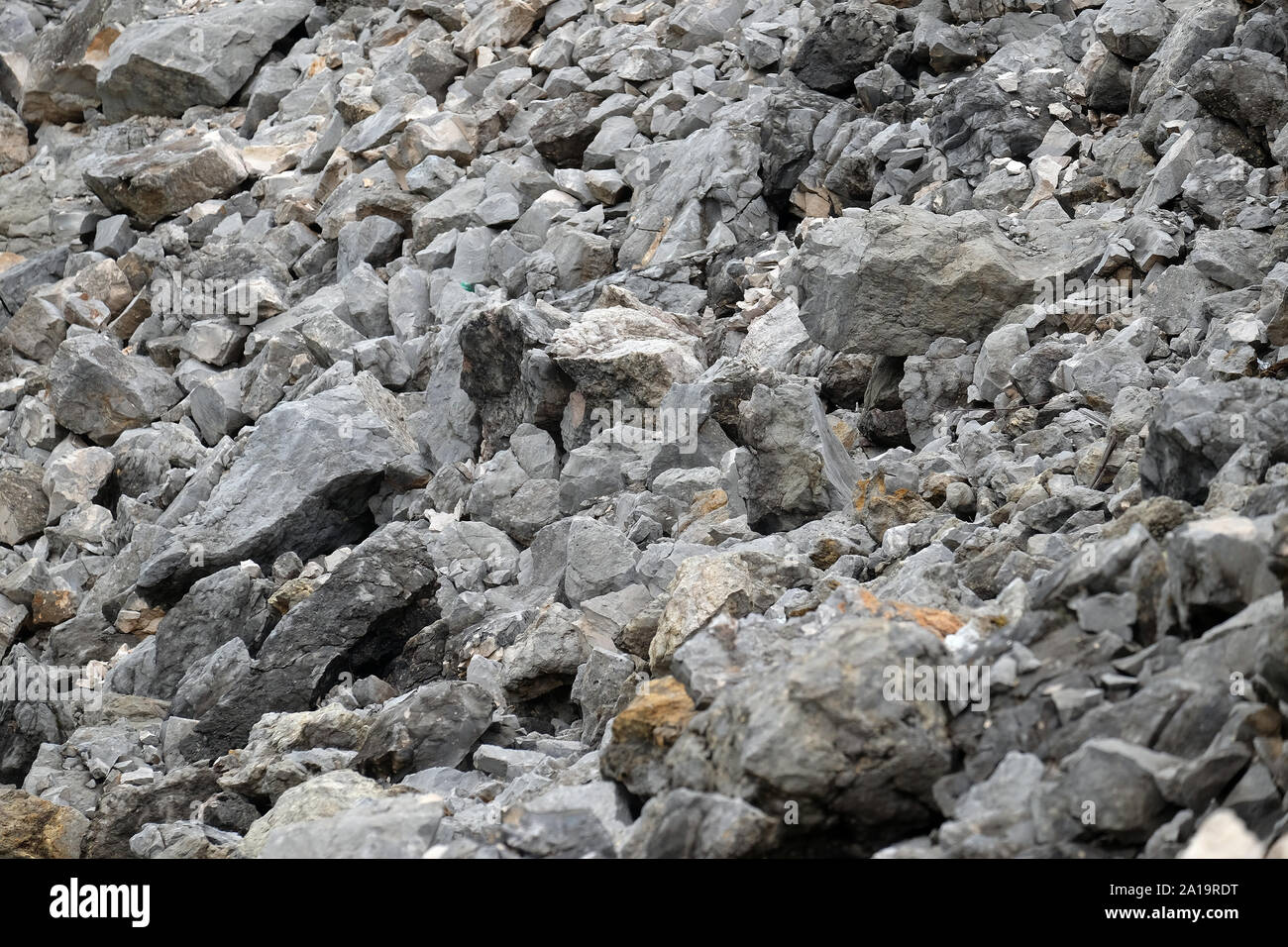Roche au sol Banque de photographies et d’images à haute résolution - Alamy
