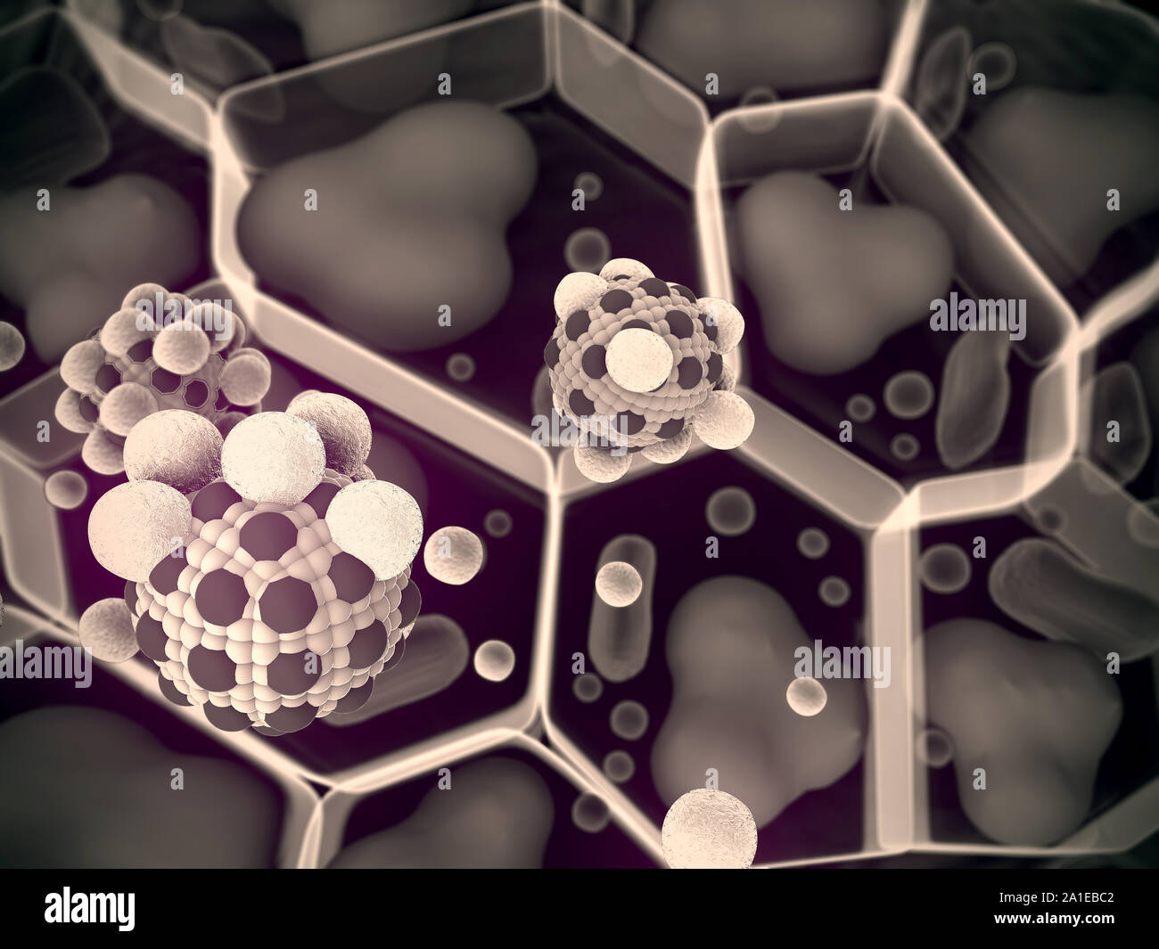 Des cellules de graisse et des macrophages, champ de cellules adipeuses ...