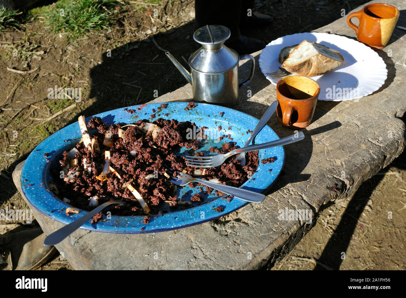 Matanca do porco Banque de photographies et d’images à haute résolution ...