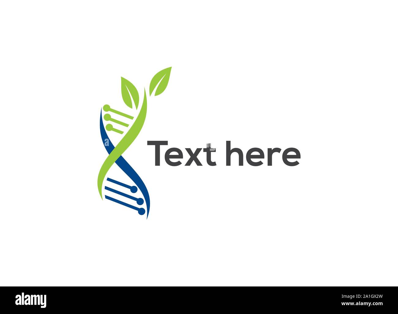 Logo de l'ADN biologique de l'ADN, logo design, logo, Feuille Feuille d ...